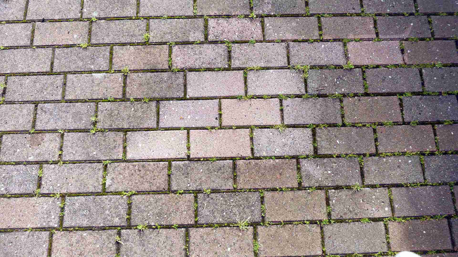 Betonpflaster | steindino.de